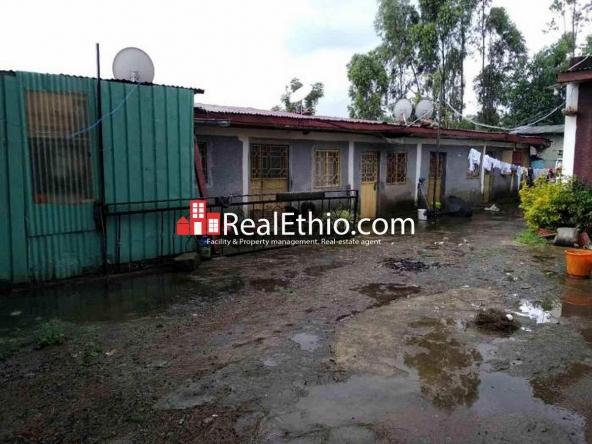 House for sale - Burayu Ashewa Meda, 200 meter square, G+1 House for ...