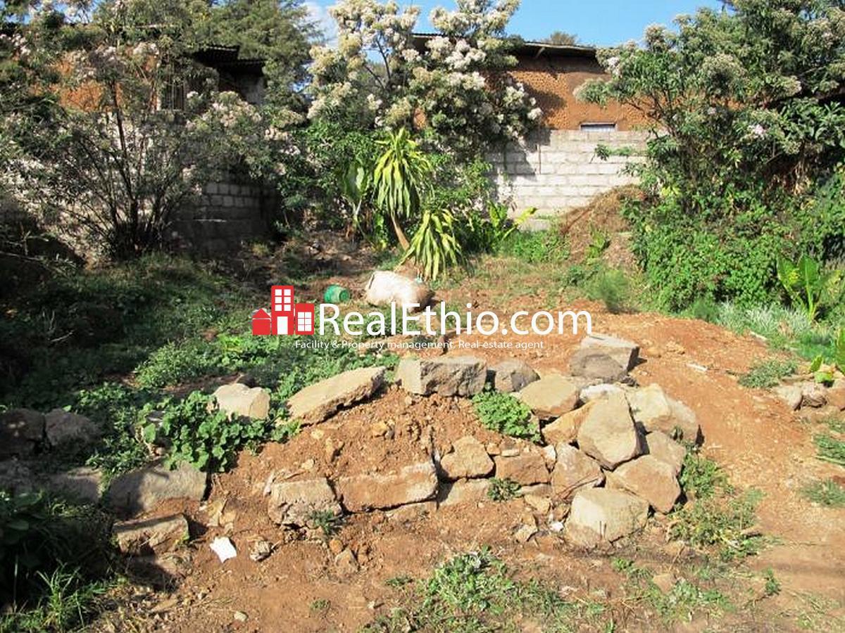 House for sale, Megenagna Yeka Michael, 580 meter square, 2 bed room ...