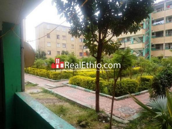 Jemo 2, 3 bedroom condominium apartment for sale, Addis Ababa. - Real Ethio