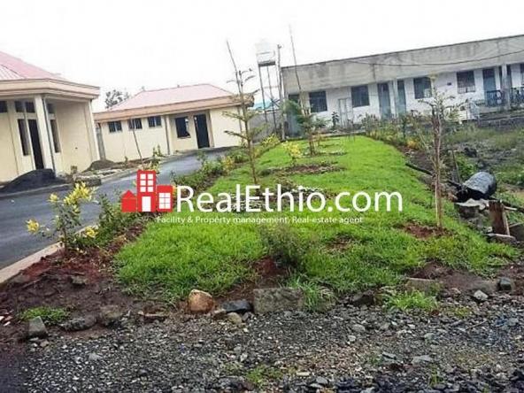 Sendafa, Ethiopia Properties for rent & sale- Real Ethio