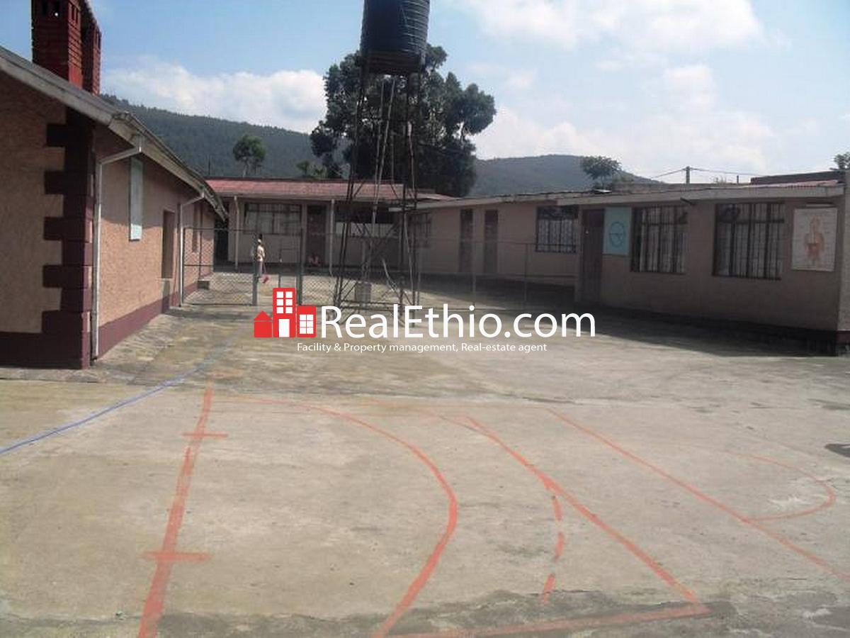 A 4,000 meter square plot of land and houses in it are for sale at Lem ...