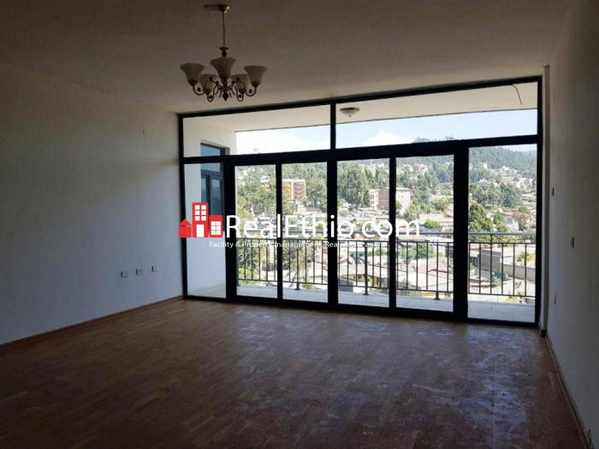 Addisu Gebeya, two bedrooms apartment for rent, Addis Ababa - Real Ethio