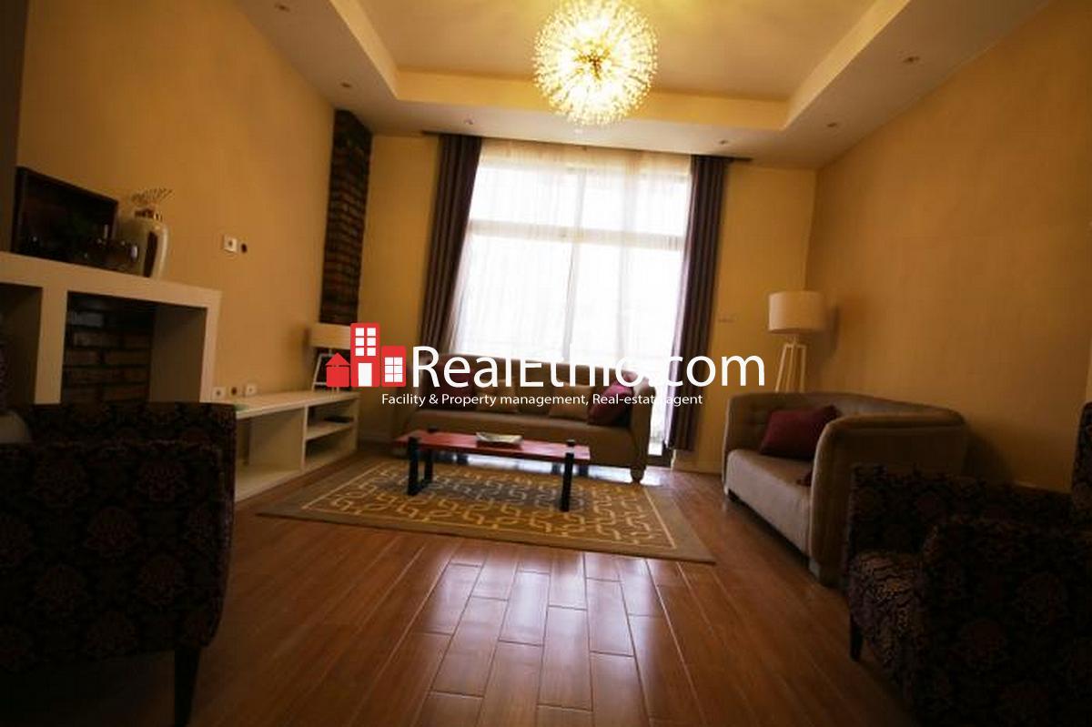 Gotera, 2 BR furnished apartment for rent, Addis Ababa