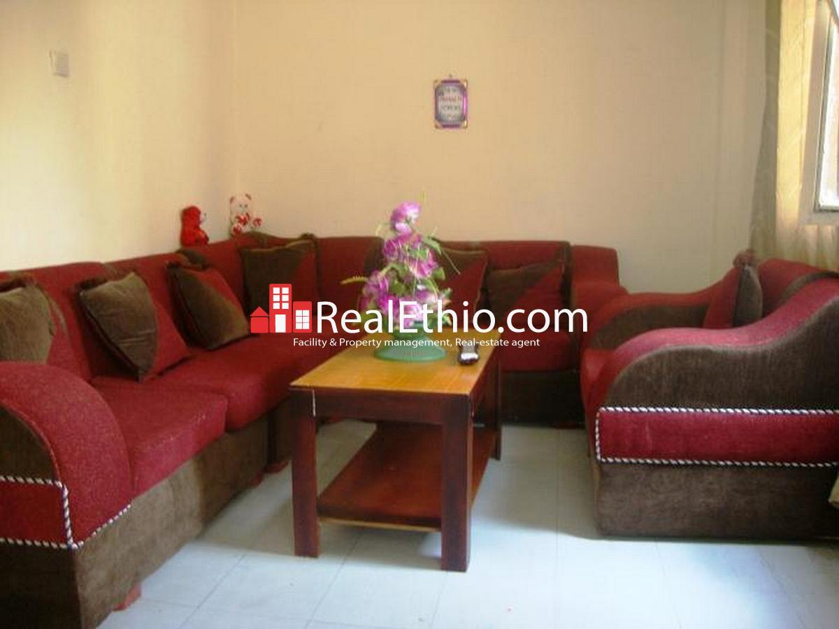 Jemo 1, 1 BR furnished condominium apartment for rent, Addis Ababa.