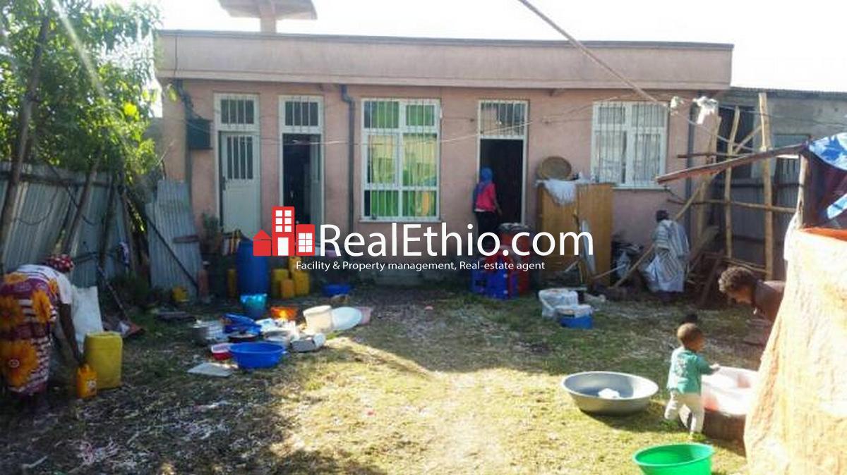 Jemo Michael, 3 rooms, corner house for sale, 175 meter square, Addis ...