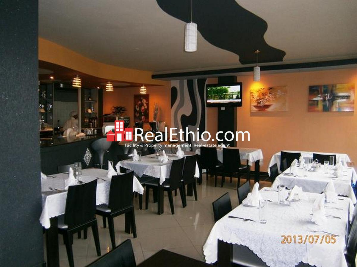 Our Services - Real Ethio