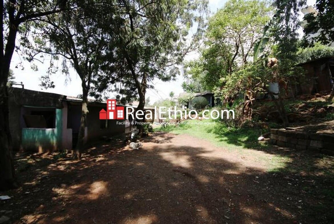 Megenagna Top view 774 meter in Addis Ababa: House for Sale