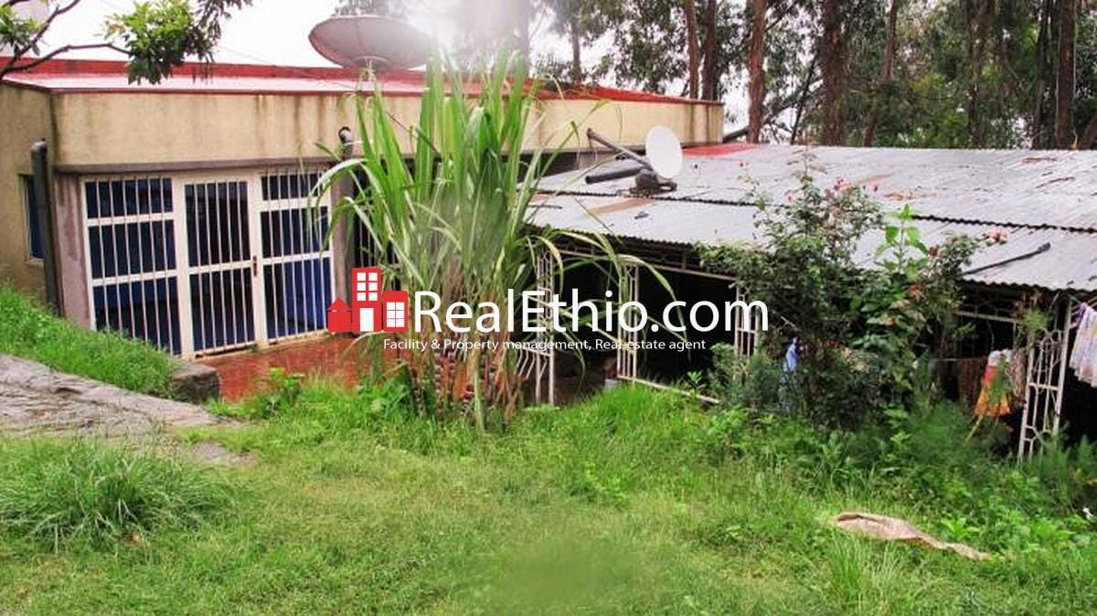 Megenagna Top view by Arrarat side, villa house for sale, Addis Ababa