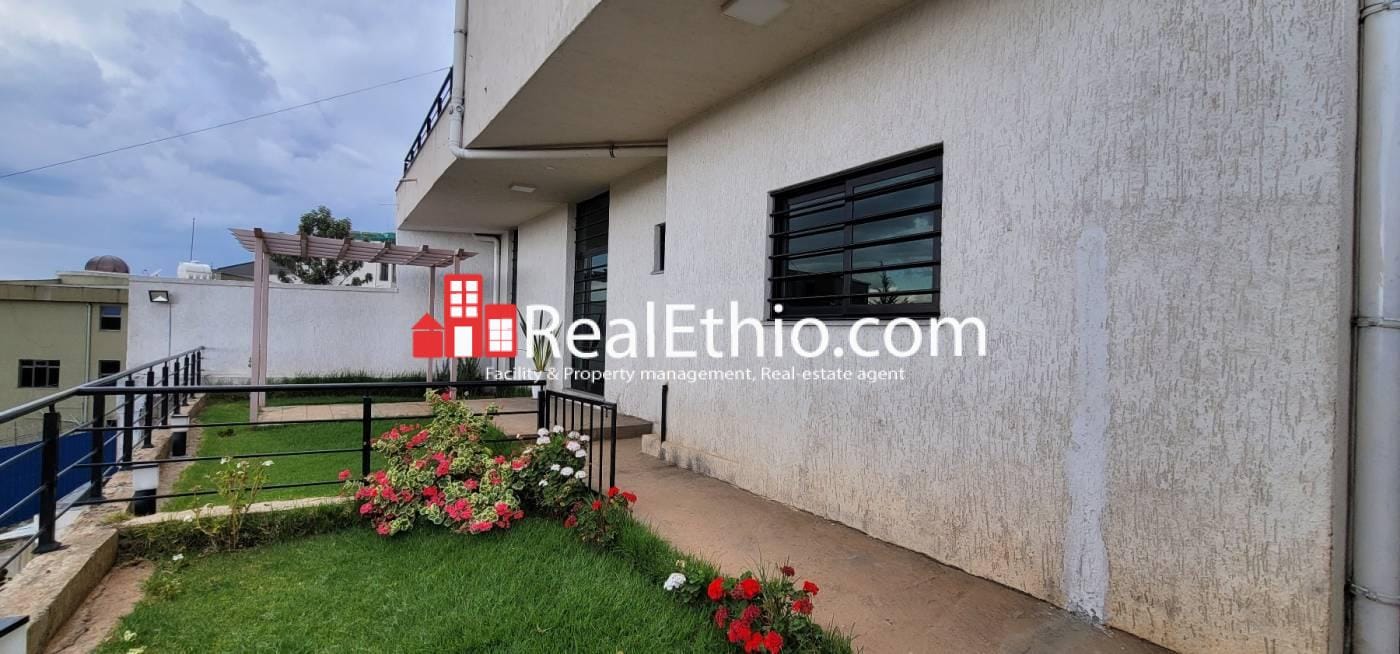 Megenagna top view, furnished 1 BR apartment for rent, Addis Ababa.