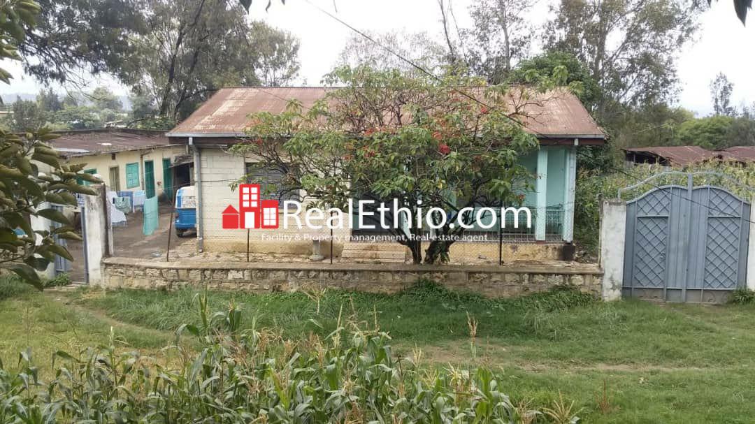 Harar, Big house for sale, Hareri, Ethiopia. - Real Ethio
