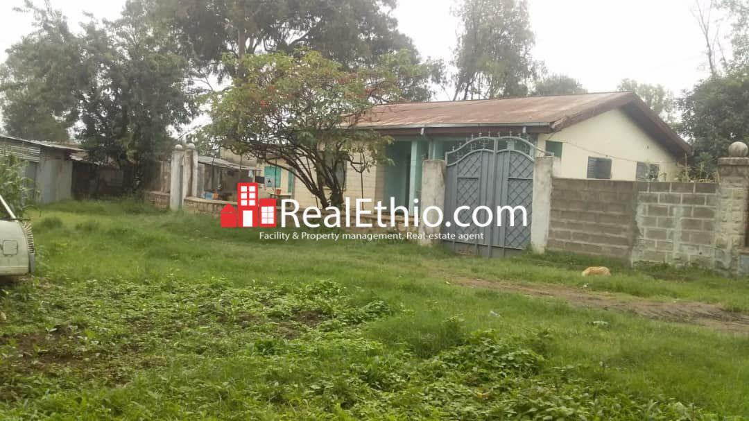 Harar, Big house for sale, Hareri, Ethiopia. - Real Ethio