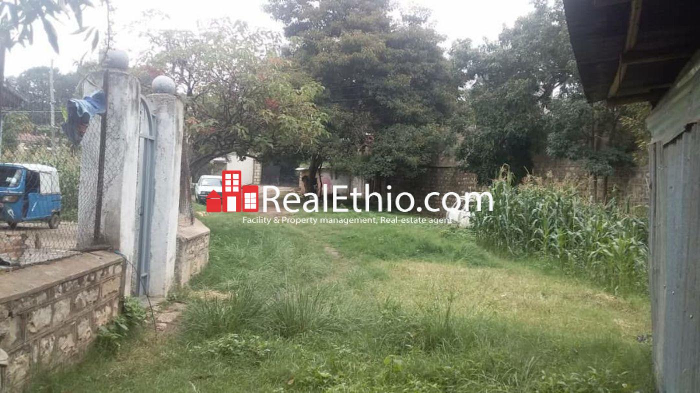 Harar, Big house for sale, Hareri, Ethiopia. - Real Ethio