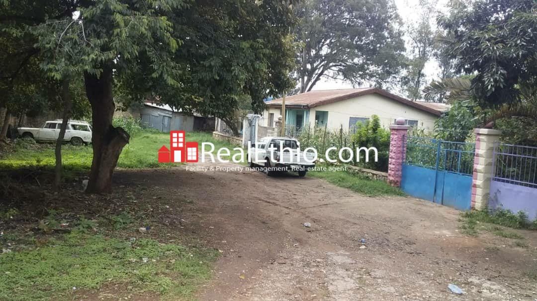 Harar, Big house for sale, Hareri, Ethiopia.