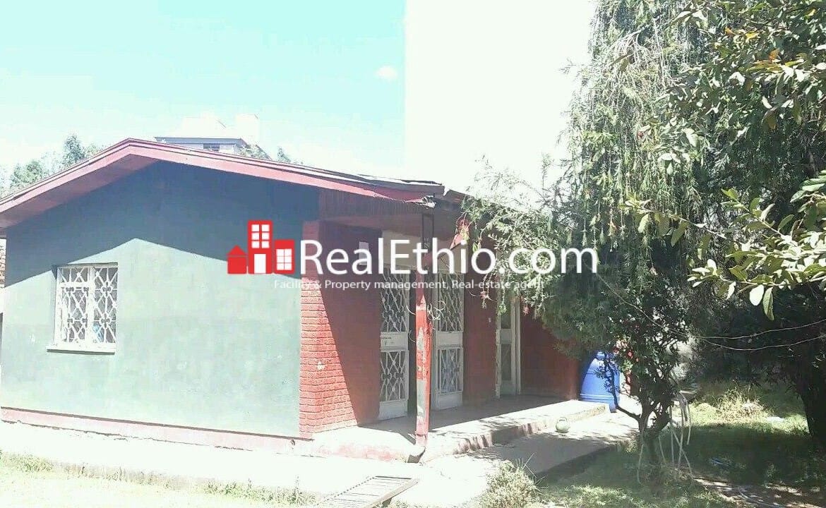 Bole Cargo House for Sale in Addis Ababa - 100M Birr