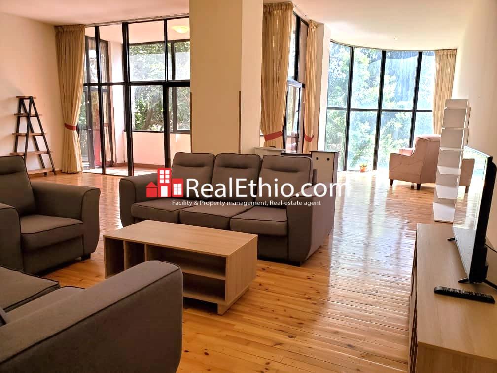 3 BR furnished penthouse apartment for rent, Bole Atlas, Addis Ababa.