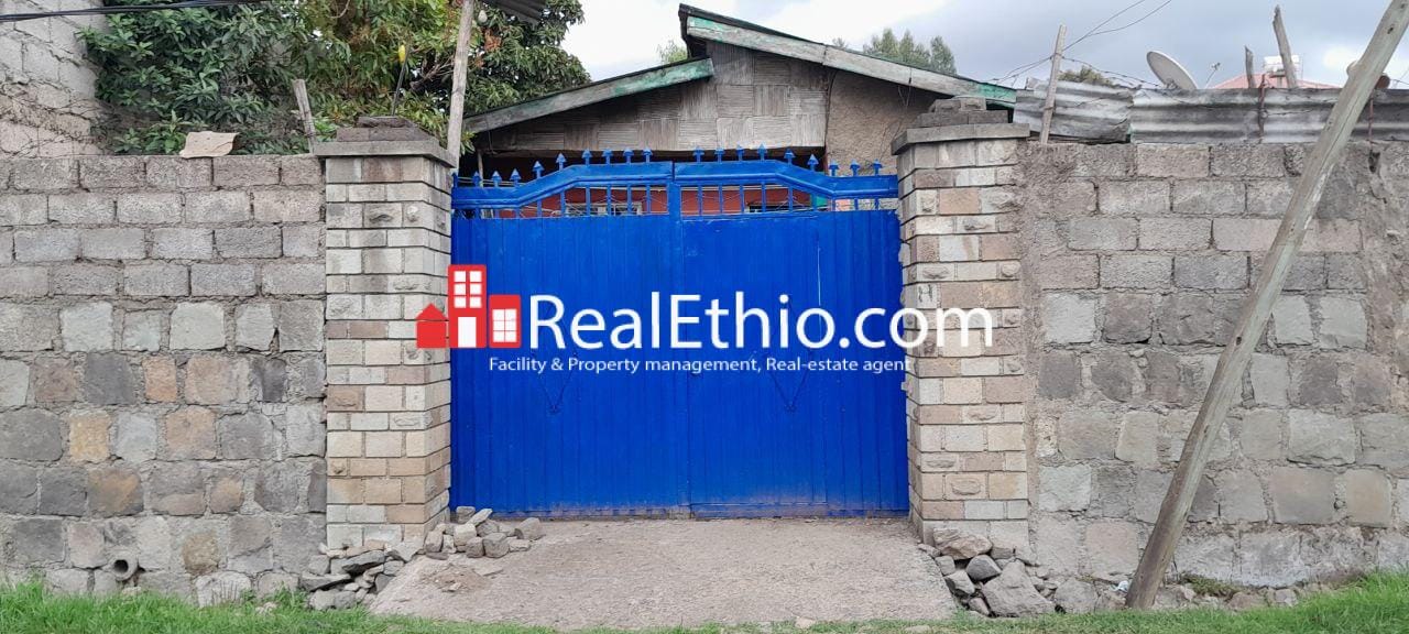 Kotebe House for Sale Addis in Addis Ababa - 25M Birr