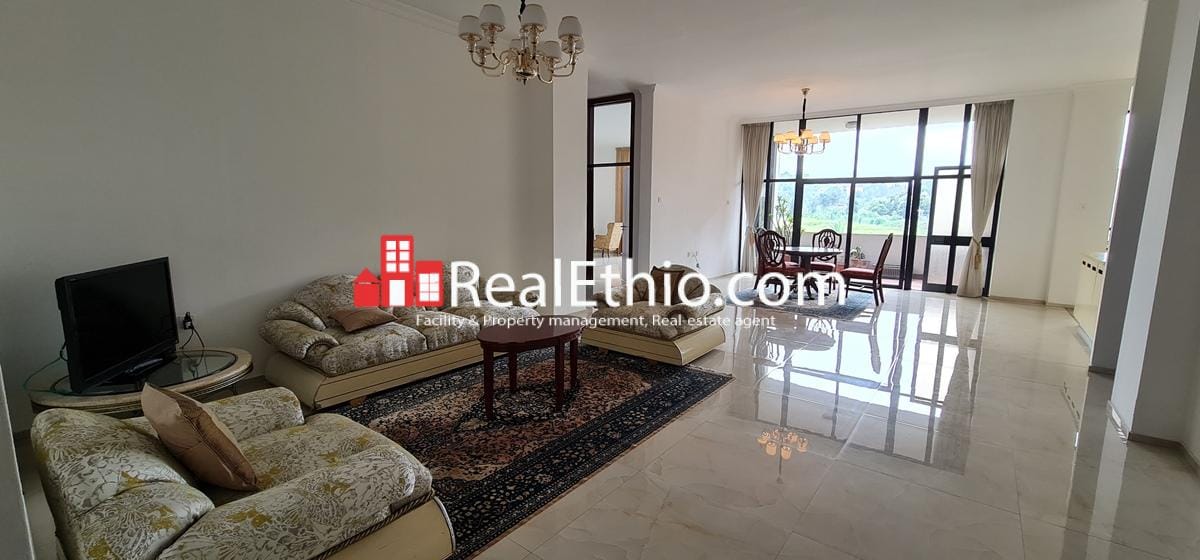 Bole Atlas 2 Bedrooms furnished in Addis Ababa for Rent