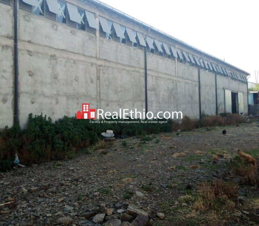 Kality Store or Warehouse for Rent in Addis Ababa