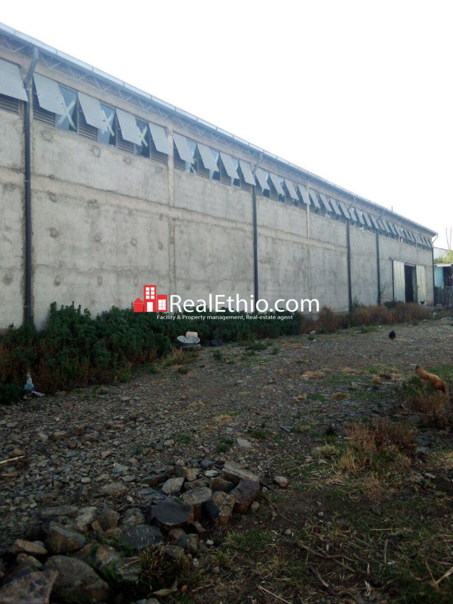 Kality Store or Warehouse for Rent in Addis Ababa