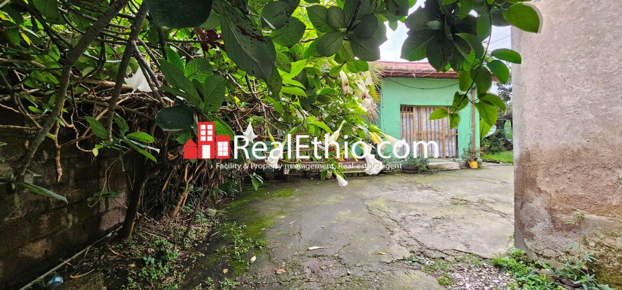 Gotera 2 Bedrooms House for Sale in Addis Ababa